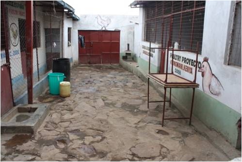 Granja – Maria Salus Infirmorum