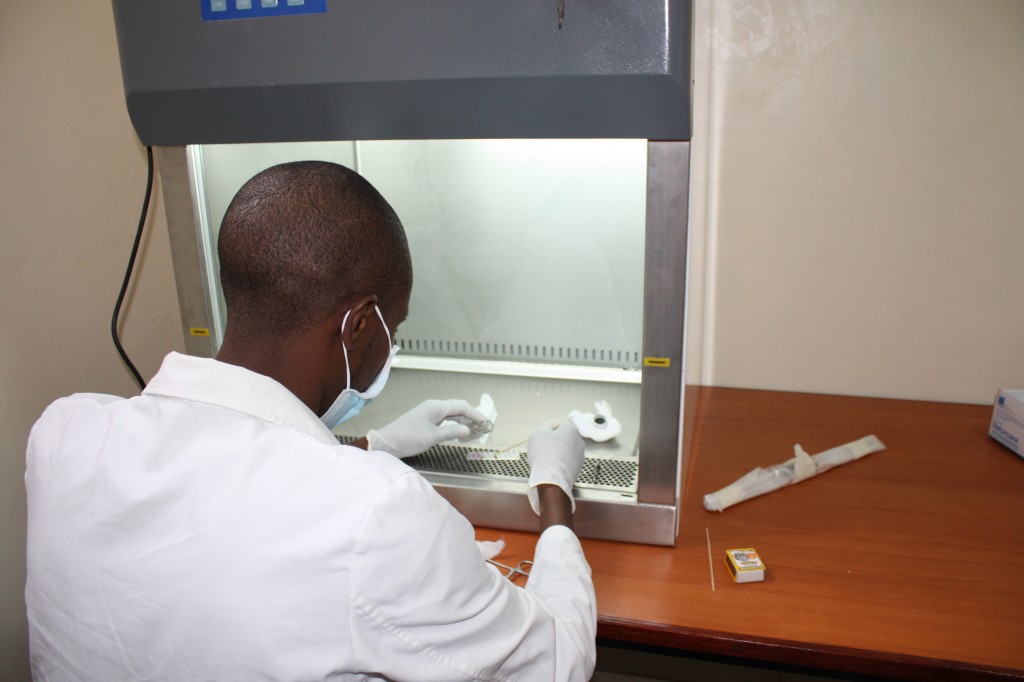 Laboratorio – Maria Salus Infirmorum